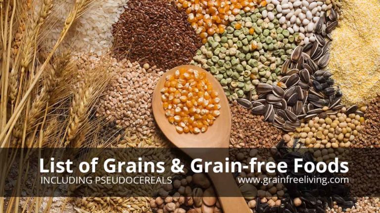 List of Grain and Grain-Free Foods – Grain Free Living
